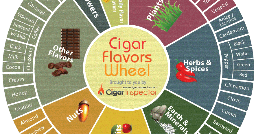 Cigar Profiler Project: The Ten Basic Flavor Groups
