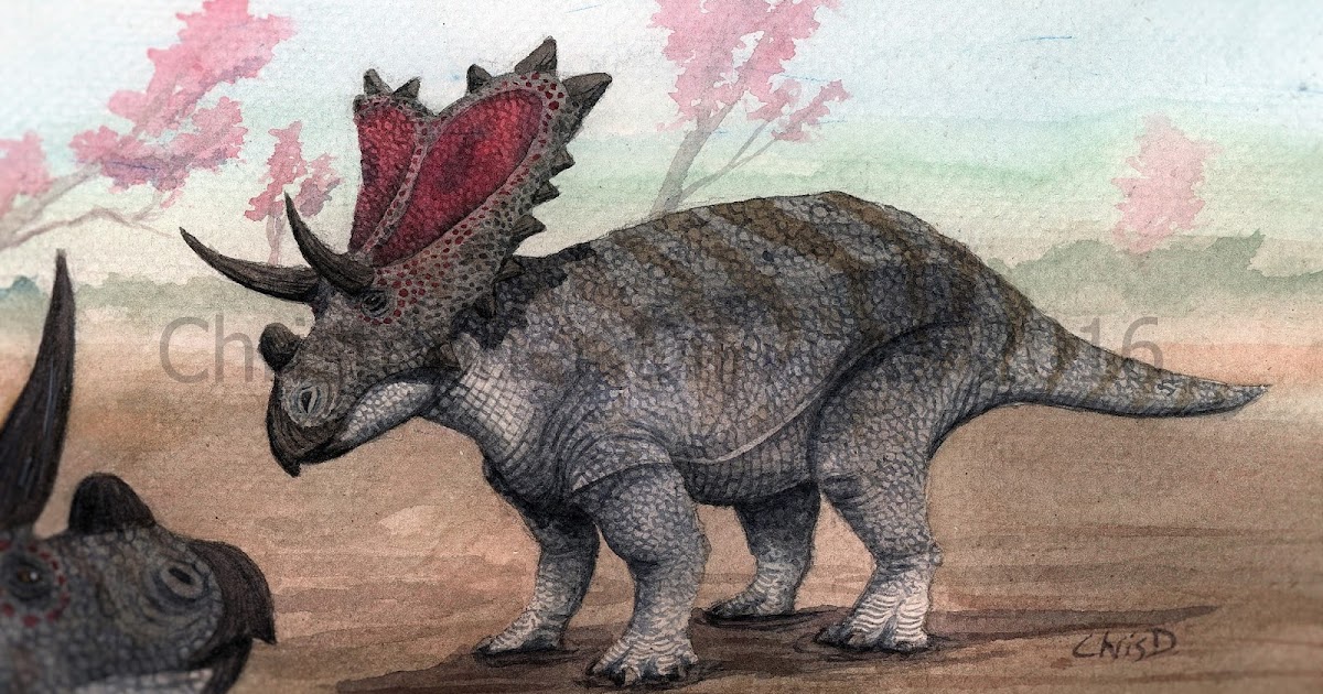 Prehistoric Beast of the Week: Mojoceratops: Prehistoric Beast of the Week