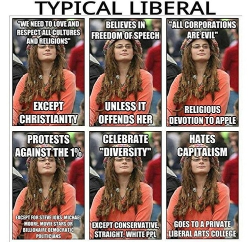 90 Miles From Tyranny : Typical Liberal