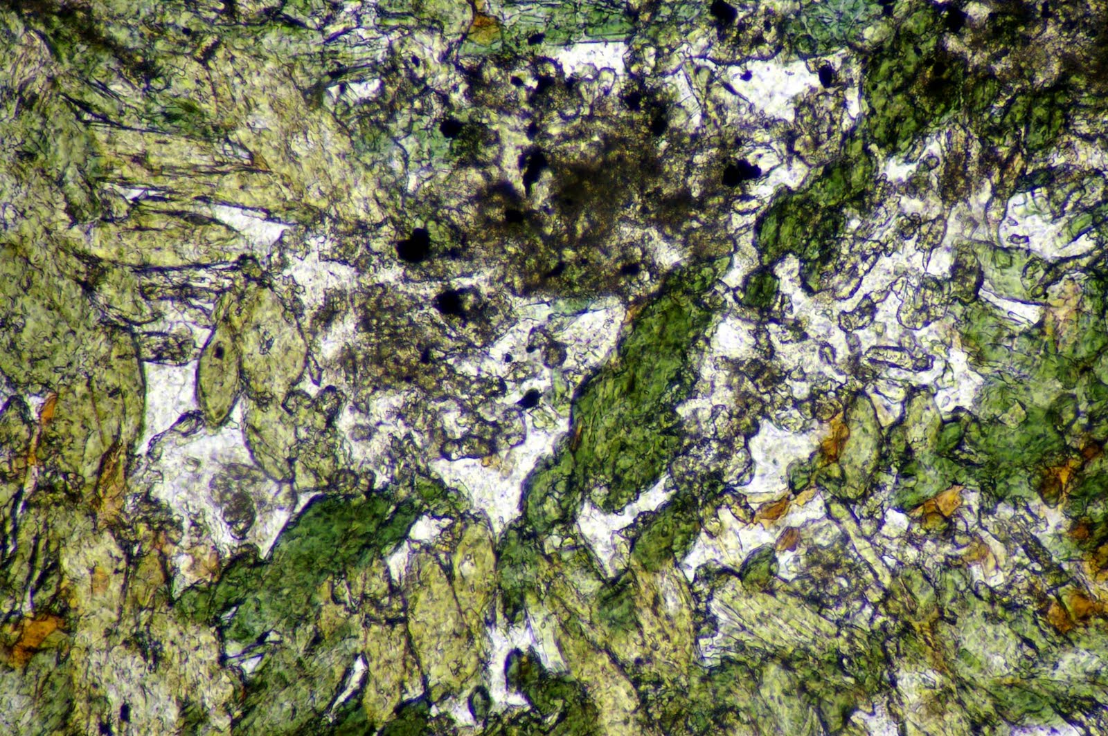 Metabasites: Epidote pleochroism in greenschist