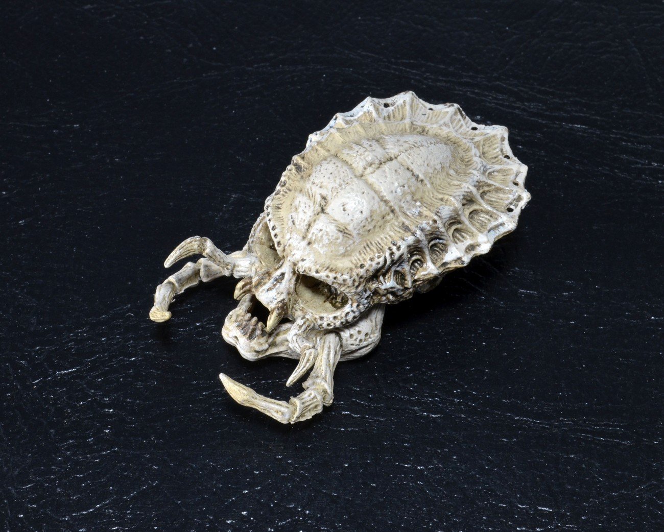 Metallman's Reverie: NECA to Launch the Predator Limited Edition Trophy ...