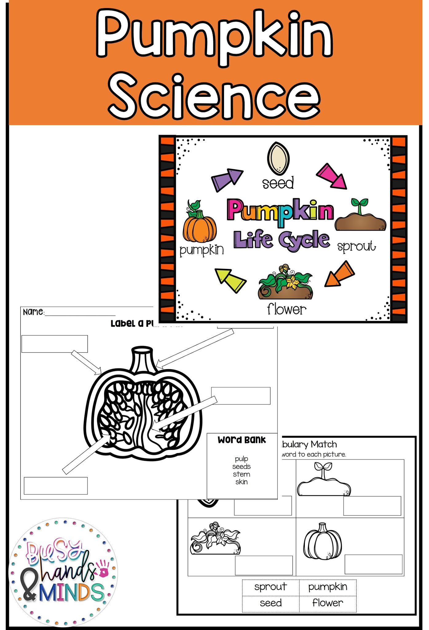 Pumpkin Unit of Study for Kindergarten and 1st Grade | Busy Hands and Minds