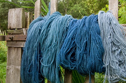 Riihivilla, Dyeing with natural dyes: Success with indigo fermentation ...