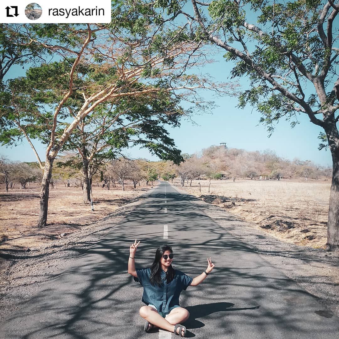 Taman Nasional Baluran Banyuwangi Destinasi Wisata Afrika Van Java