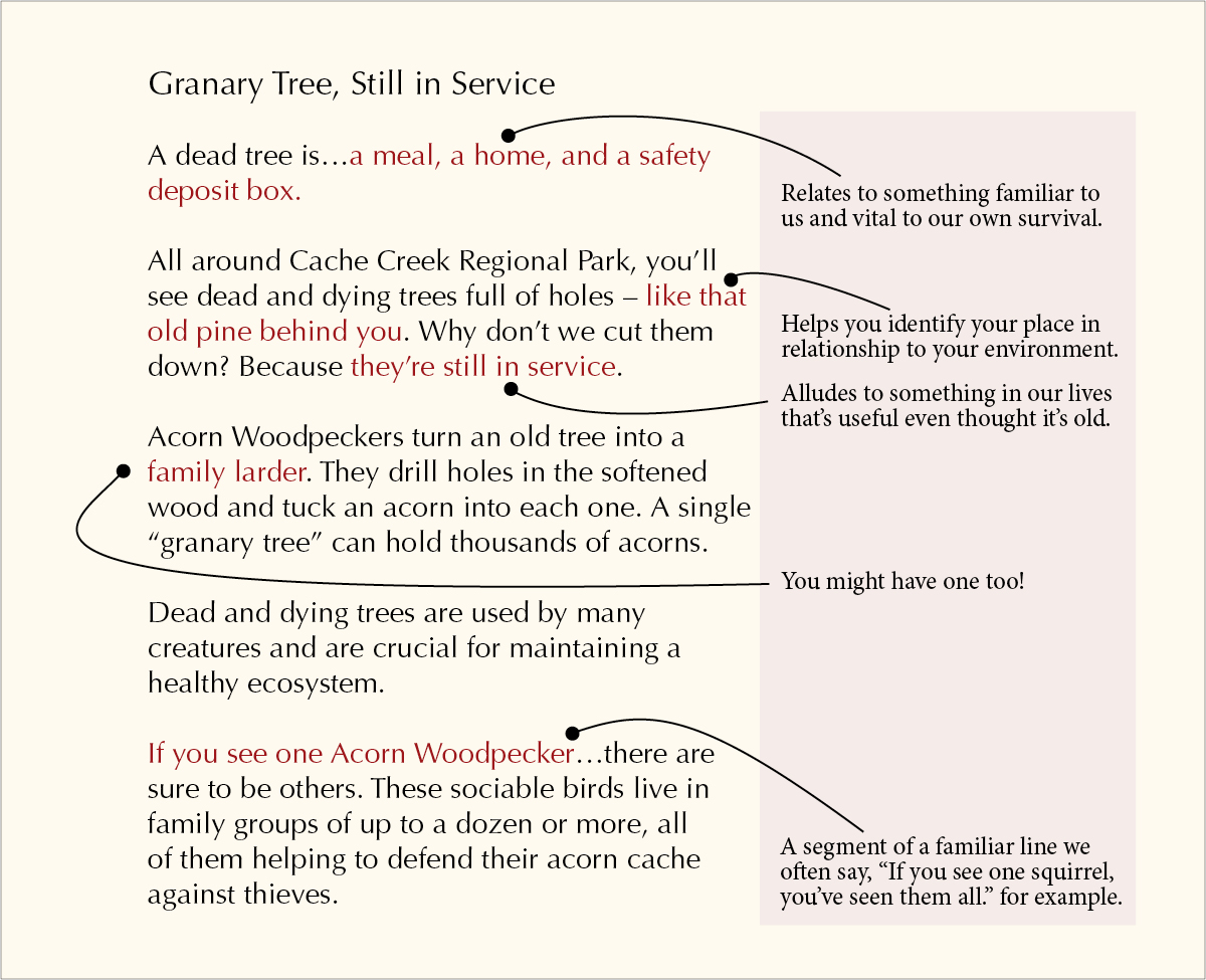 A Window on Wildlife: How To Write Interpretive Text That Stimulates ...