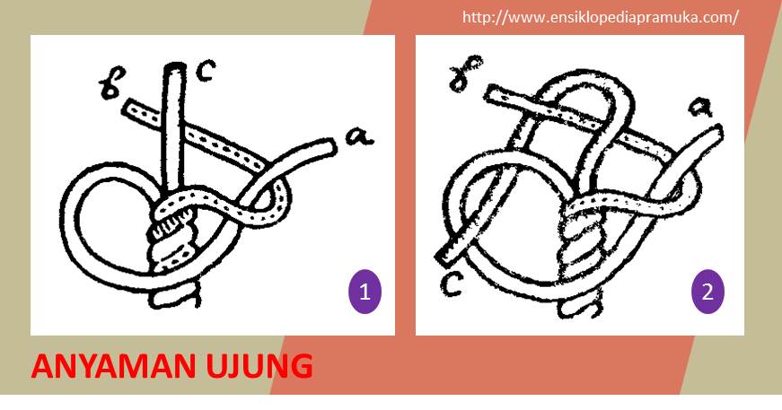 Ensiklopedia Pramuk: Tali temali : Jenis-jenis Simpul Anyam