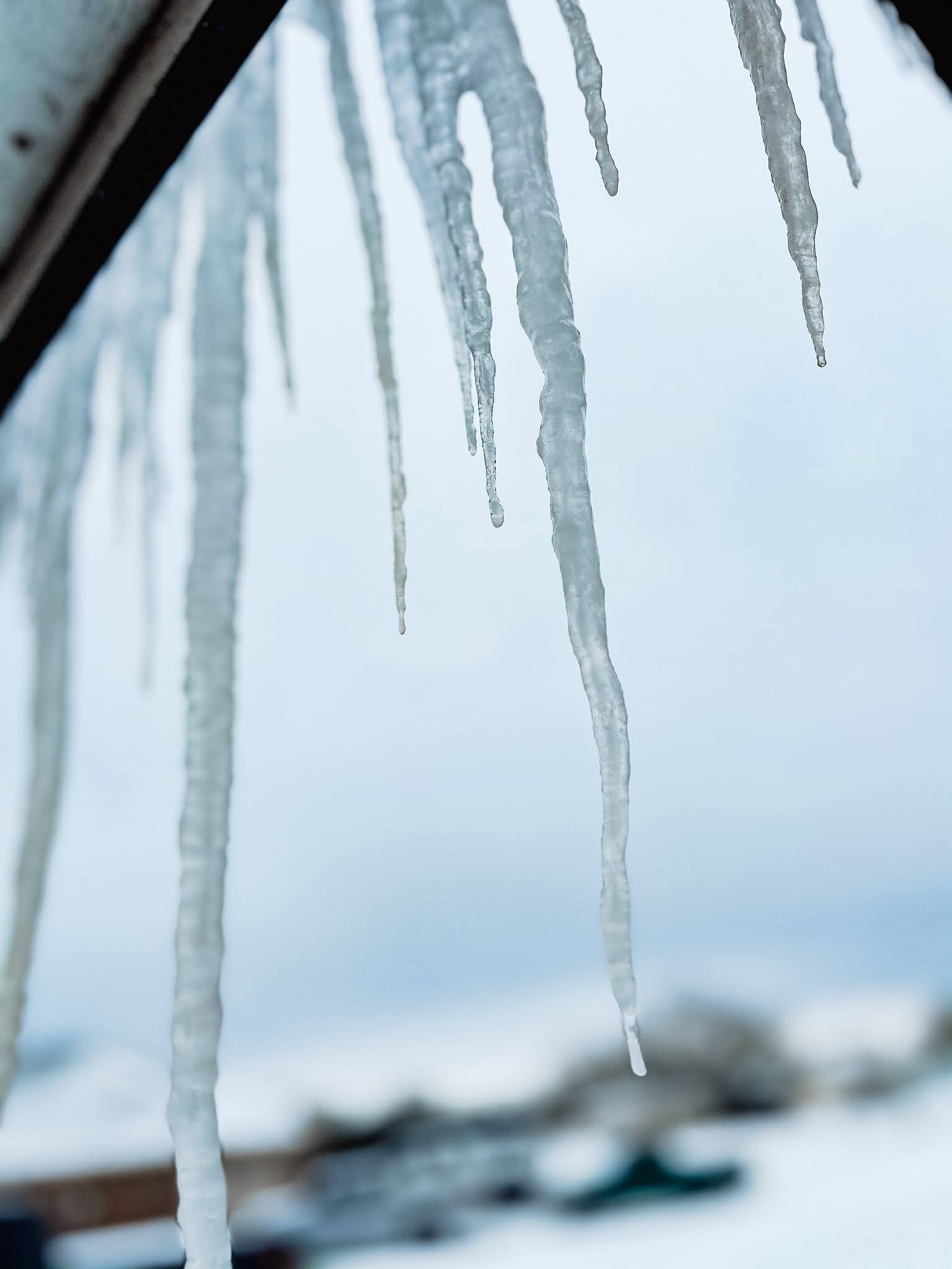 {Texas Snowpocalypse // 2021} - HALL AROUND TEXAS