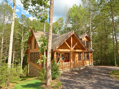 beyond the aisle: home envy: log cabins