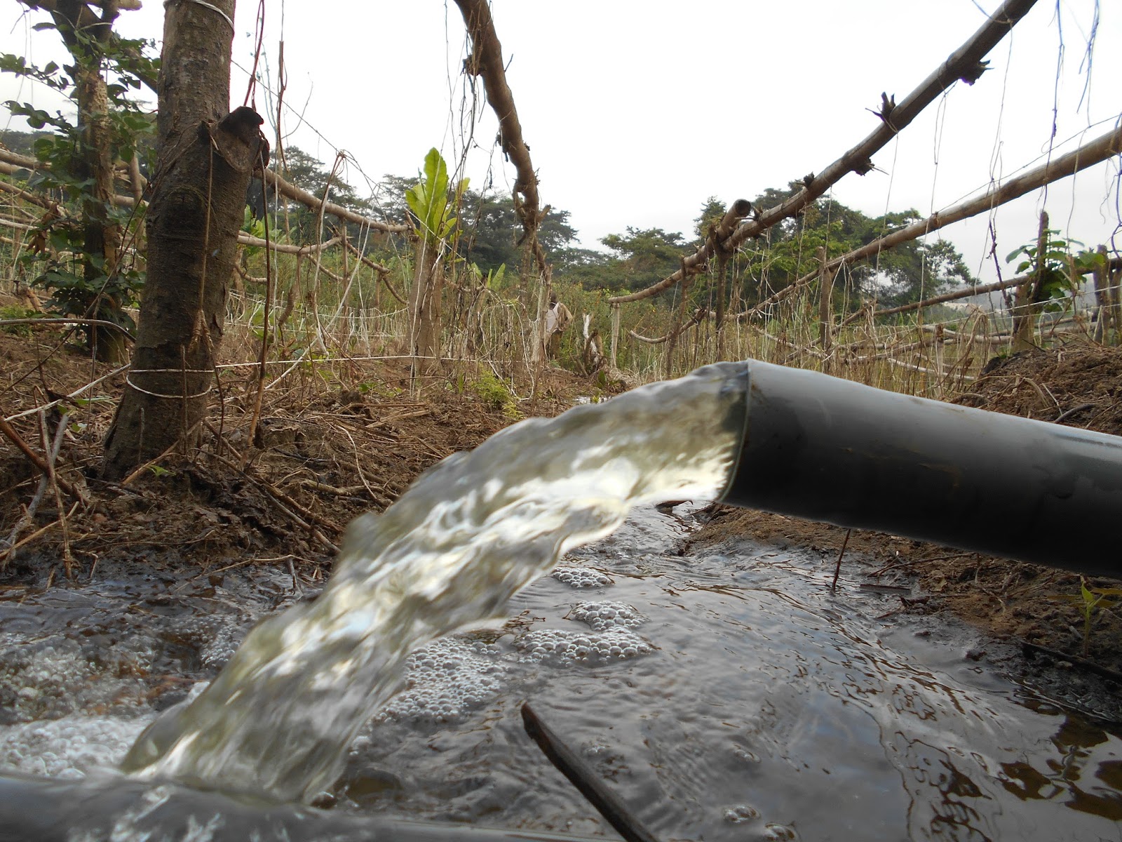 Furrow Flooding Irrigation Technique: An economical way of doing dry ...