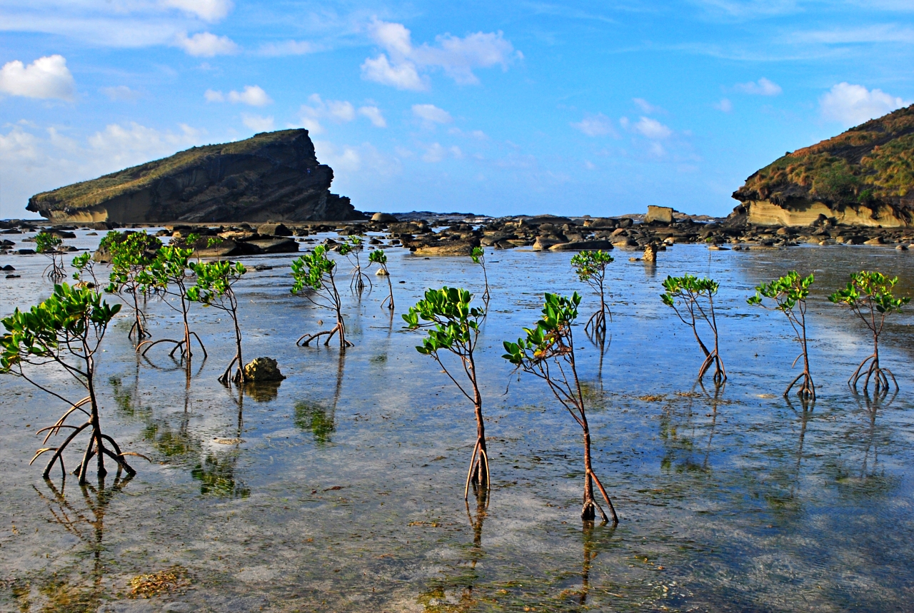 Biri Island’s School of Rock | Northern Samar - Nomadic Experiences