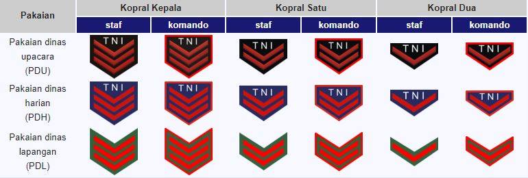 Urutan Pangkat TNI AD, AL, AU dari Terendah Sampai Tertinggi - InfoAkurat.com