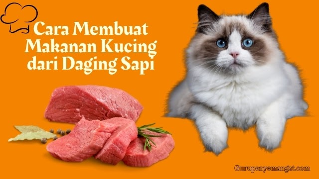Cara Membuat Makanan Kucing dari Daging Sapi yang Mudah, Simak 4 Varian ...