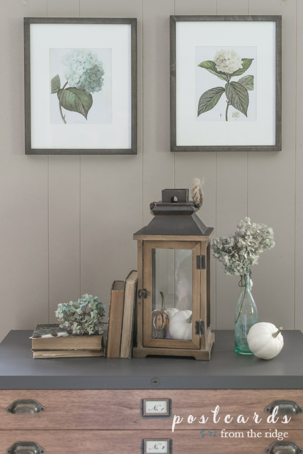 Free Vintage Hydrangea Botanical Printables | Postcards from the Ridge