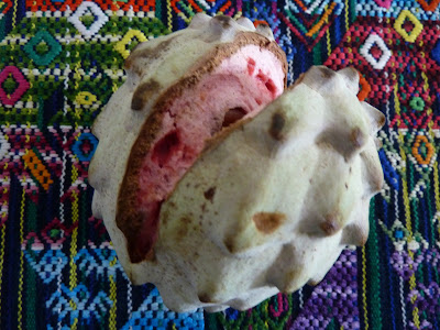 a year in the country with a smile - un año en el país con una sonrisa ...