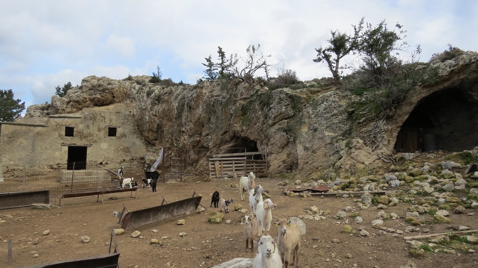 Biodiversity of Cyprus by NGO Protection of the Natural Heritage and ...