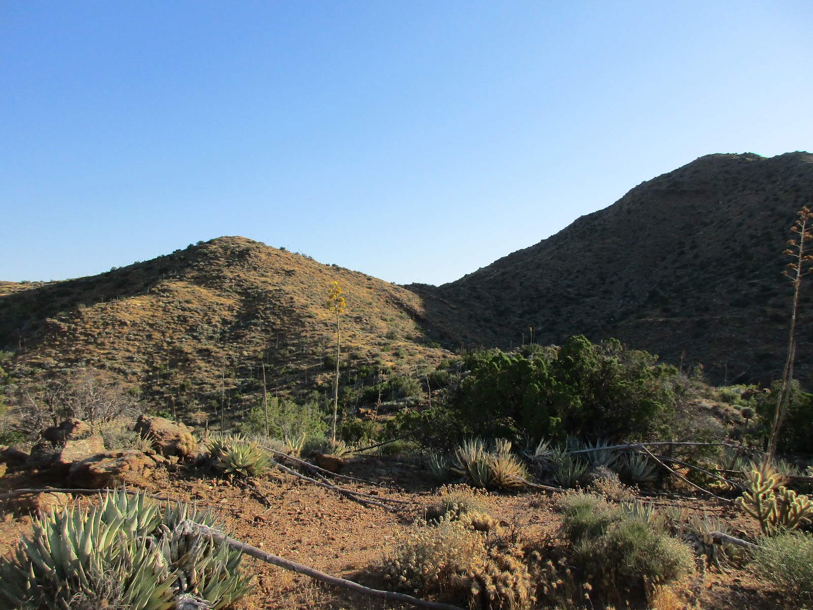 Iron Hiker: Grapevine Mountain