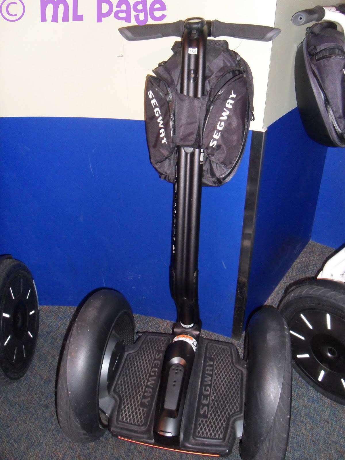 Picturing Disney: Segway Tour of World Showcase