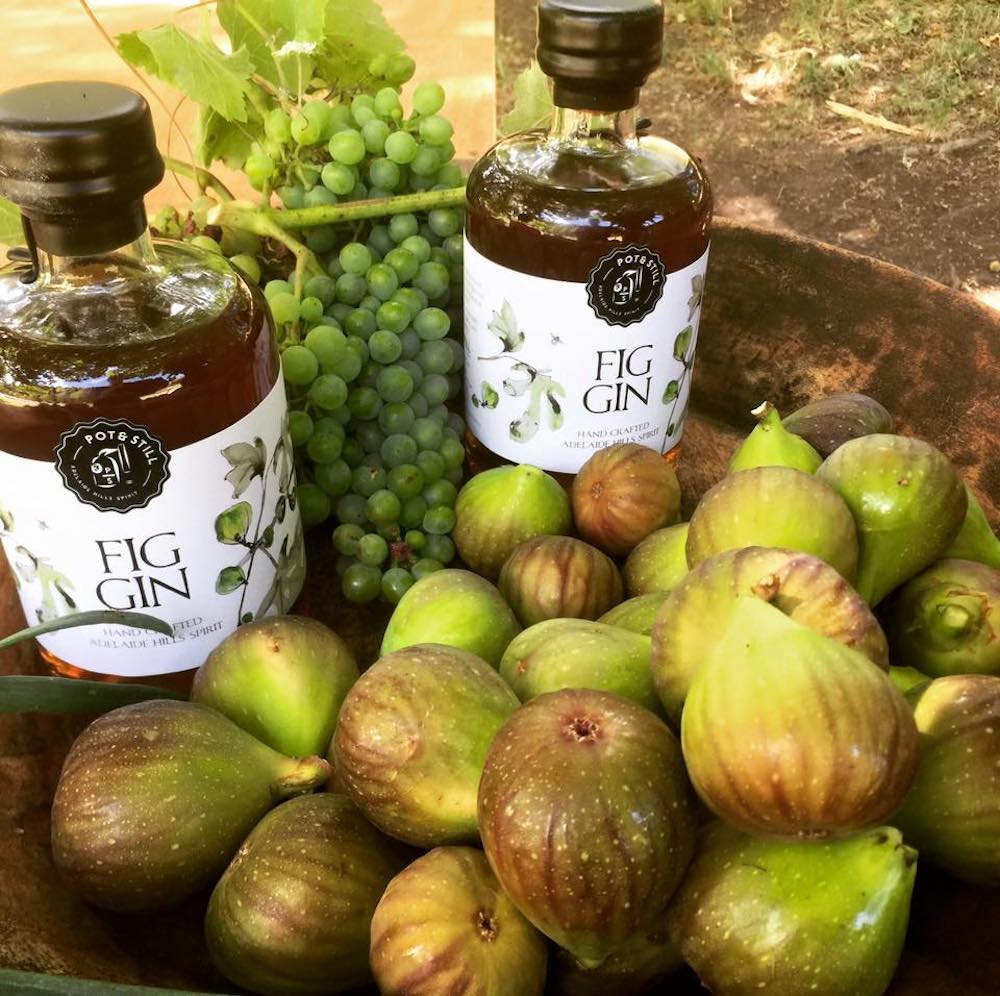 The Fragrant Journey: Drinking Fig Gin and Smelling of Fig Perfume
