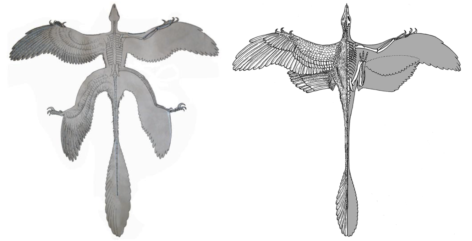 Mostly Open Ocean: The colour of dinosaurs