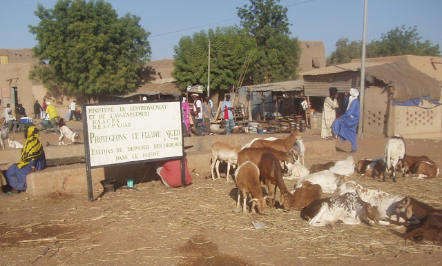Carnets de voyage de l'AKAriâtre: GAO, Ansongo , Mali 3