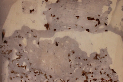 My Guide to Rust Dyeing Paper