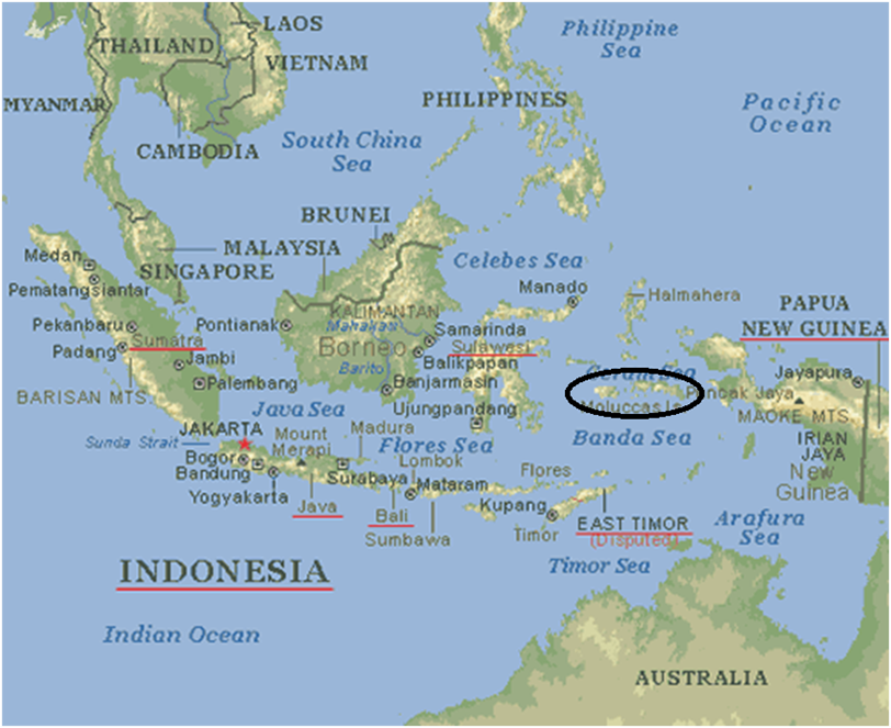 Maluku Islands Map