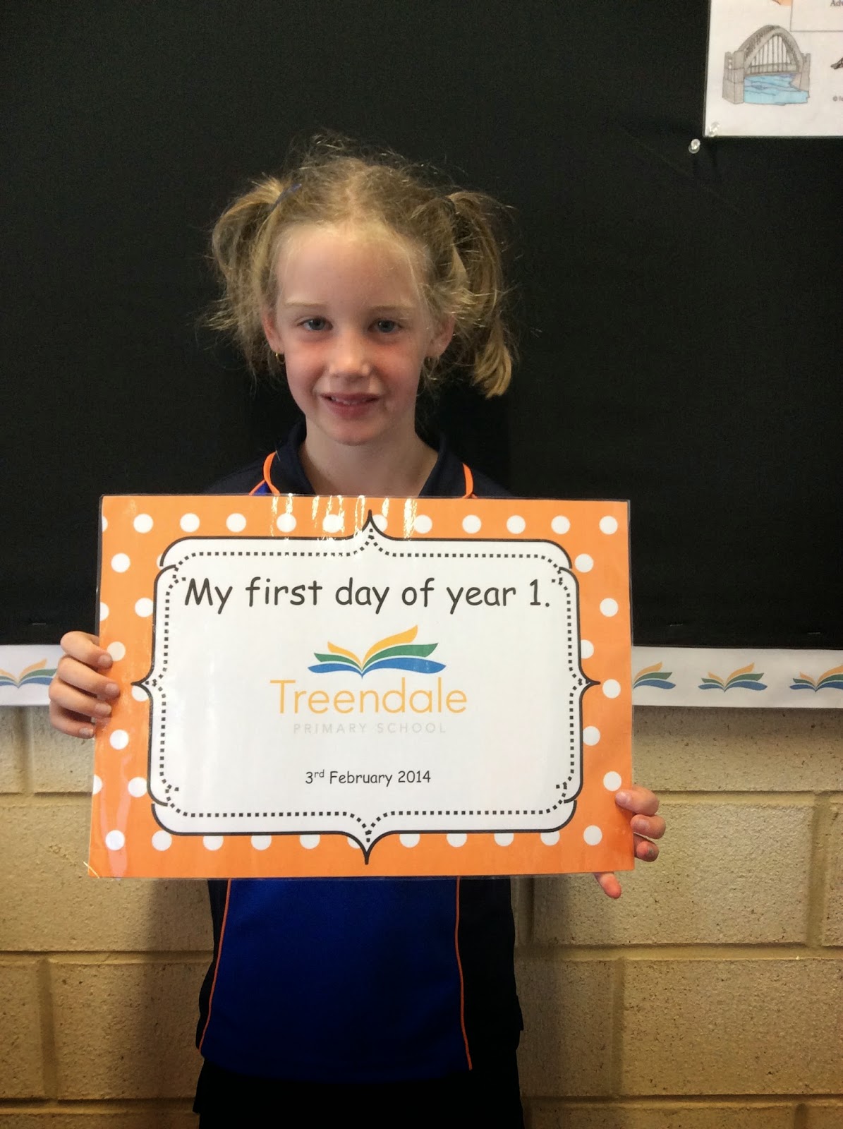 Treendale Primary School Room 8: May 2014