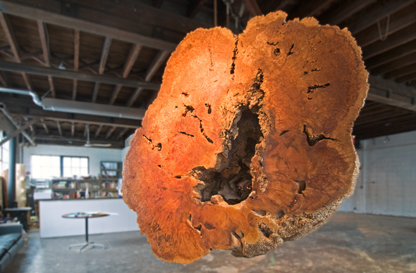 The First of Many...: Defamiliarizing in the Contemporary Art World