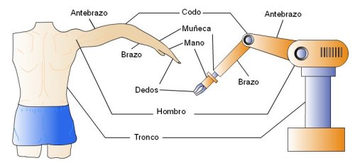 Robótica: Estructura