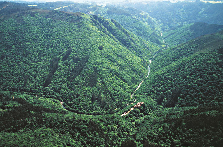 Sapere Aude: Las formas del relieve continental