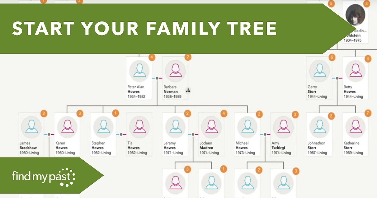 Class, Class! Yes, Yes!: Who is Who in your family?