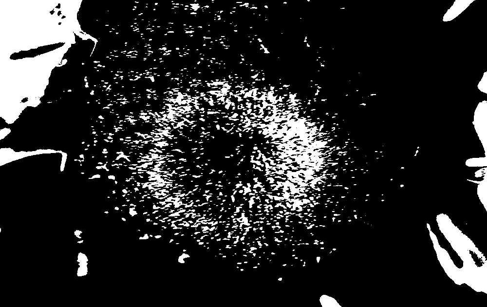 The Scriptures: Mark-06-43