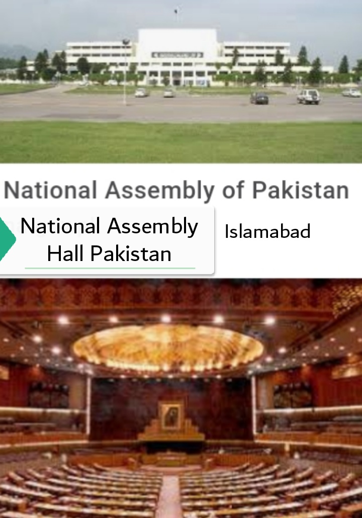 Pakistan Constitution 1956, 1962, 1973 salient features - fusionstories