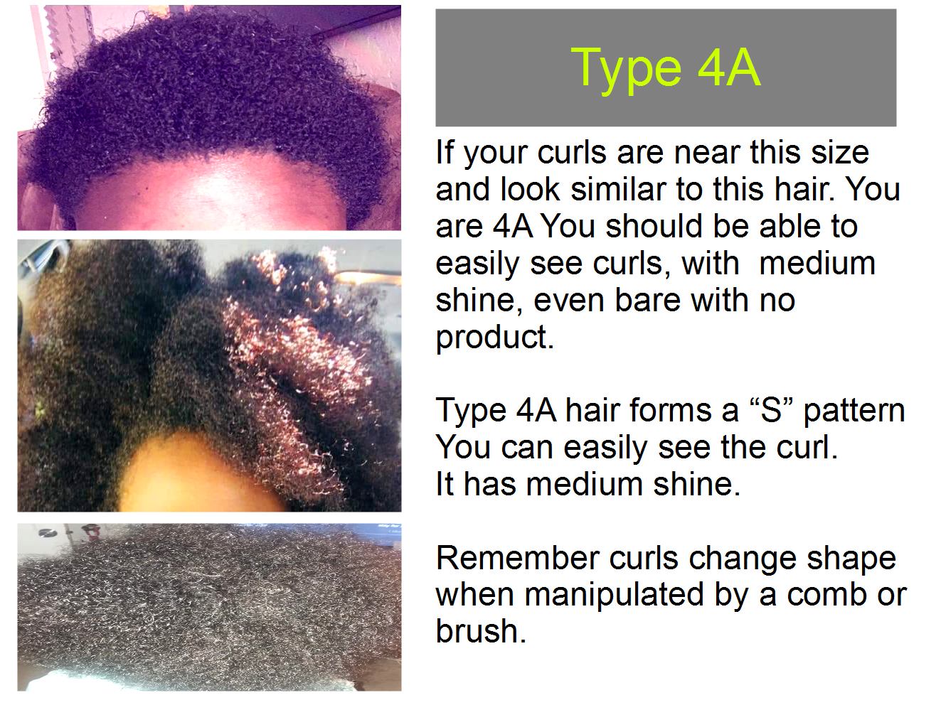 CoilyQueens™ : How to figure your curl type