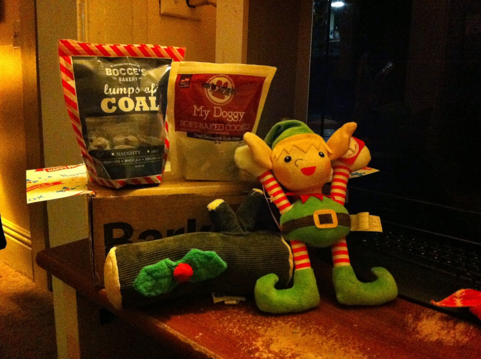 Moments of Introspection: Camera Critters: Christmas - BarkBox Style