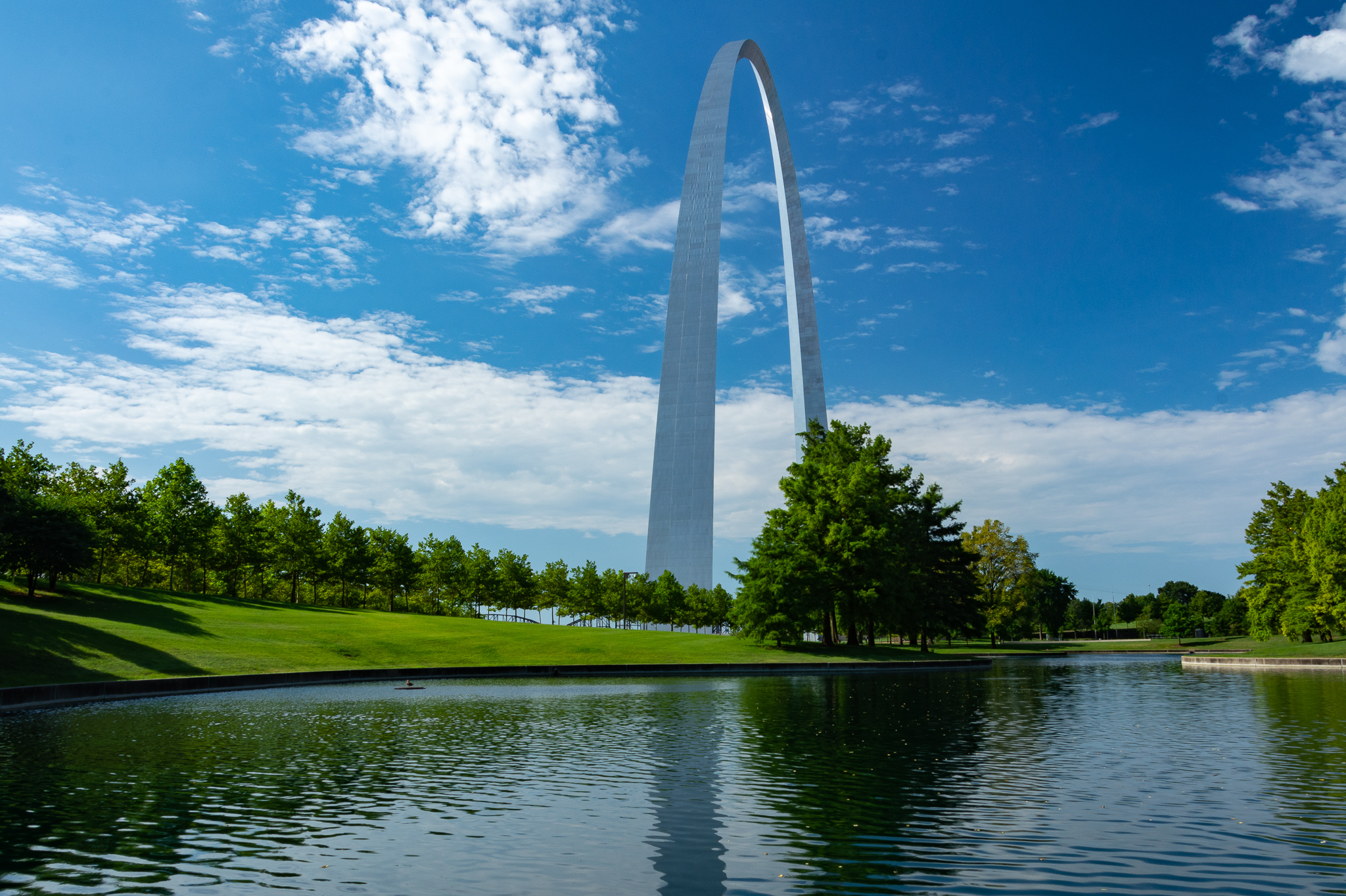 A Tree Falling: Gateway Arch National Park