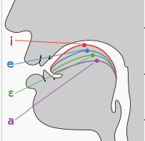 Блог Программиста: Russian language lesson. Phonetic system. Vowels ...