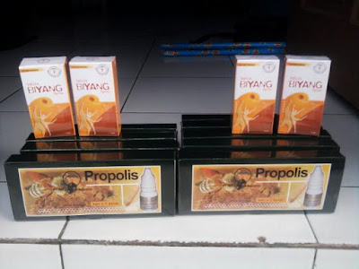 Produk PT Melia Nature Indonesia ~ Ahmad Jamaludin