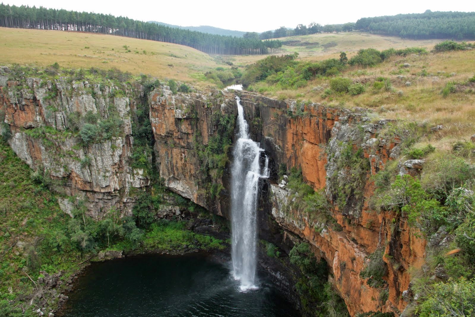 THE WELLNESS TRAIL : GOD's WINDOW & Graskop Hotel