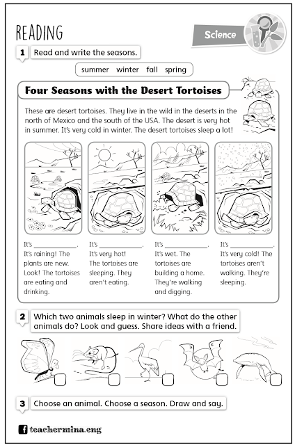 Teachermina: [reading comprehension] four seasons with the desert tortoises