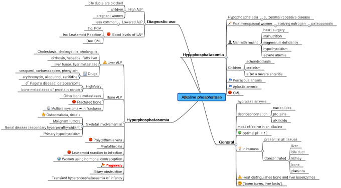 what is alkaline phosphatase-high symptoms-alkaline phosphatase normal ...