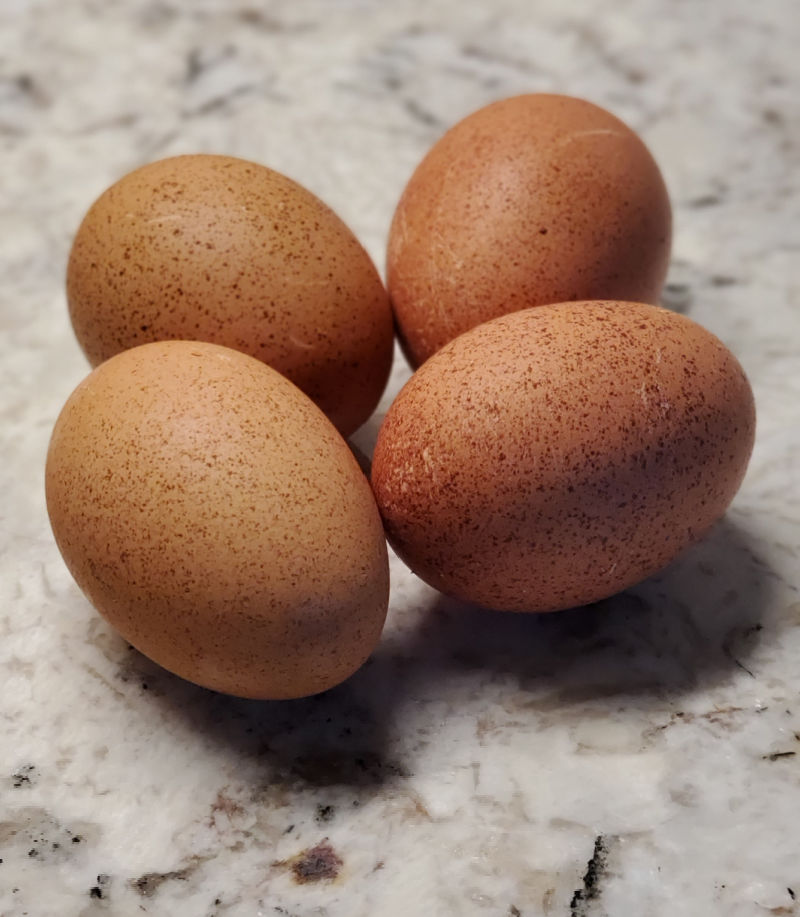 Penedesenca Eggs
