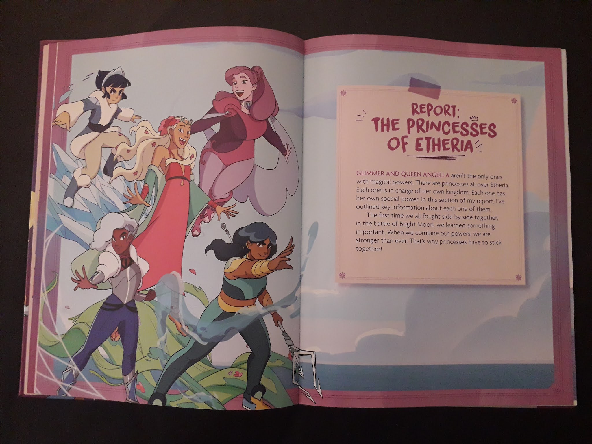 My Best Toys: Leituras do Best - She-Ra and the Princesses of Power ...