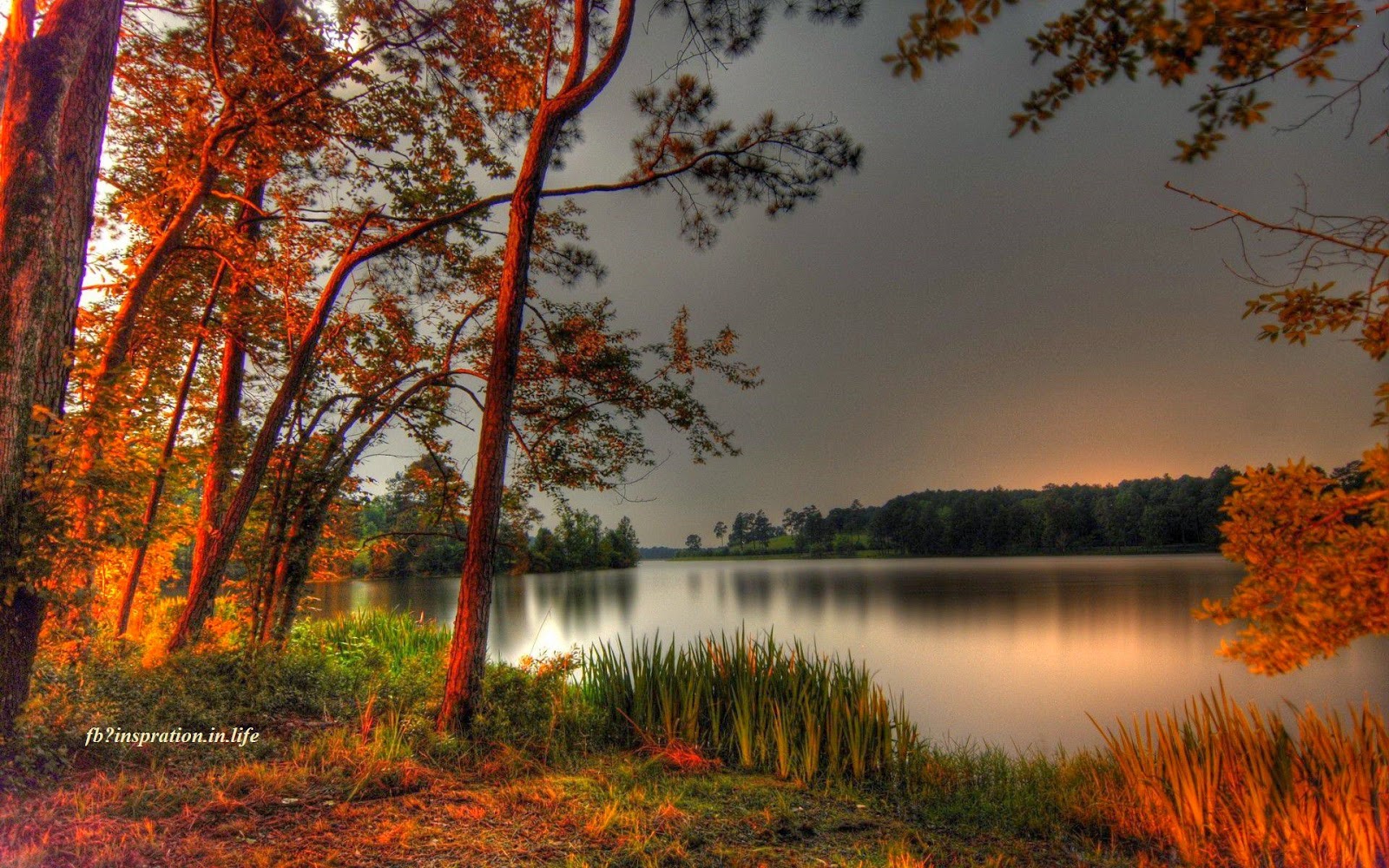 Nature Photobook: August 2014