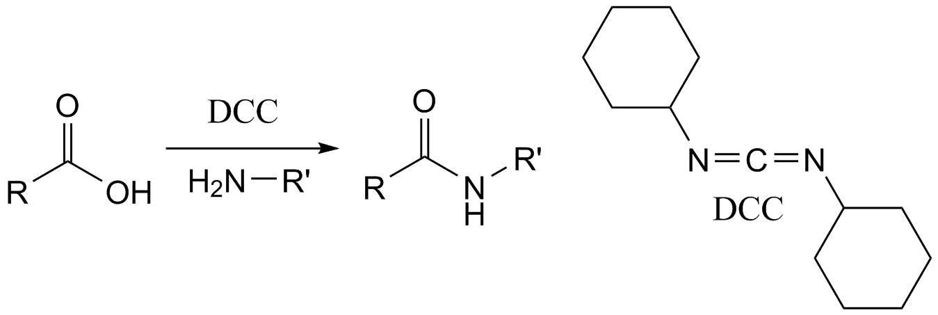 How Trivial is It to Make Amides?