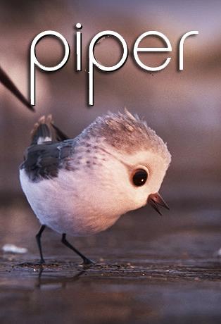 MI CINE: "Piper" el nuevo corto de Pixar