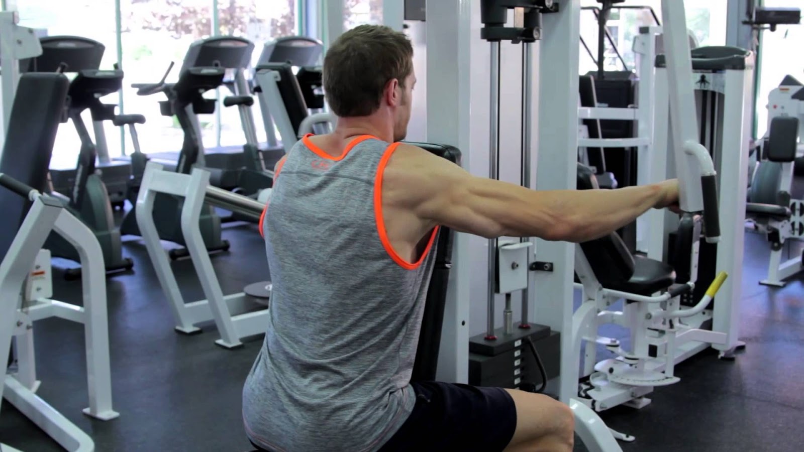 Bodybuilding: Shoulders workout - Shoulder Muscle Anatomy