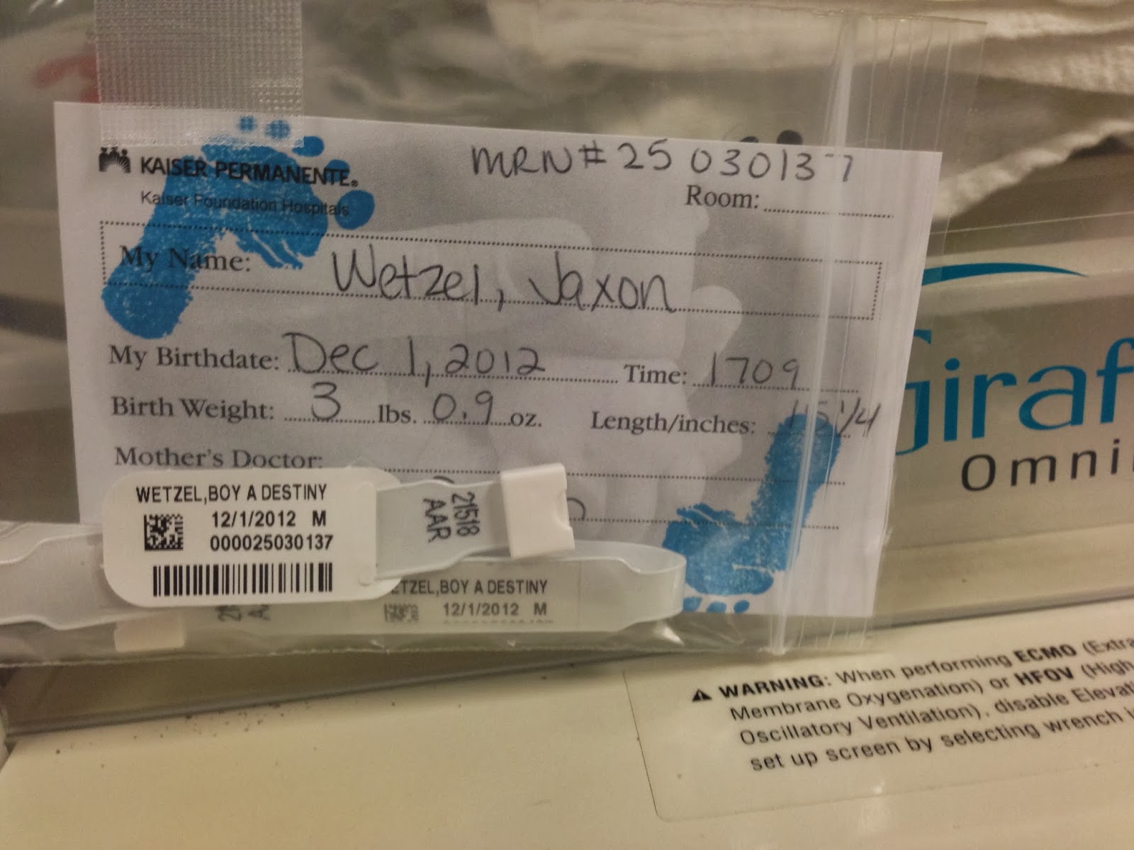 Destiny Brought You To Me: Jaxon Jeremiah Wetzel