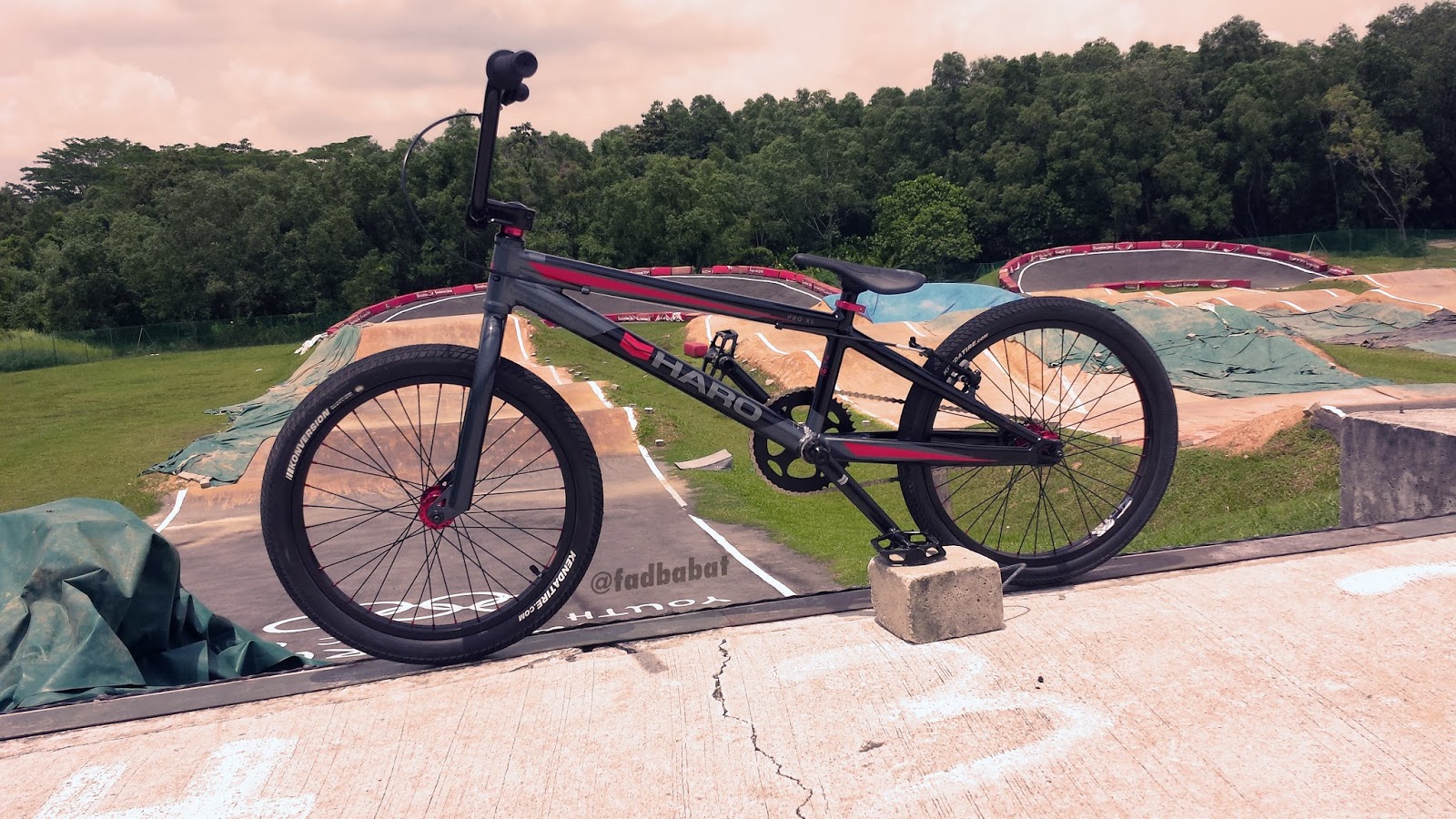 Ride 2 Food: 2014 Haro Race LT Pro XL