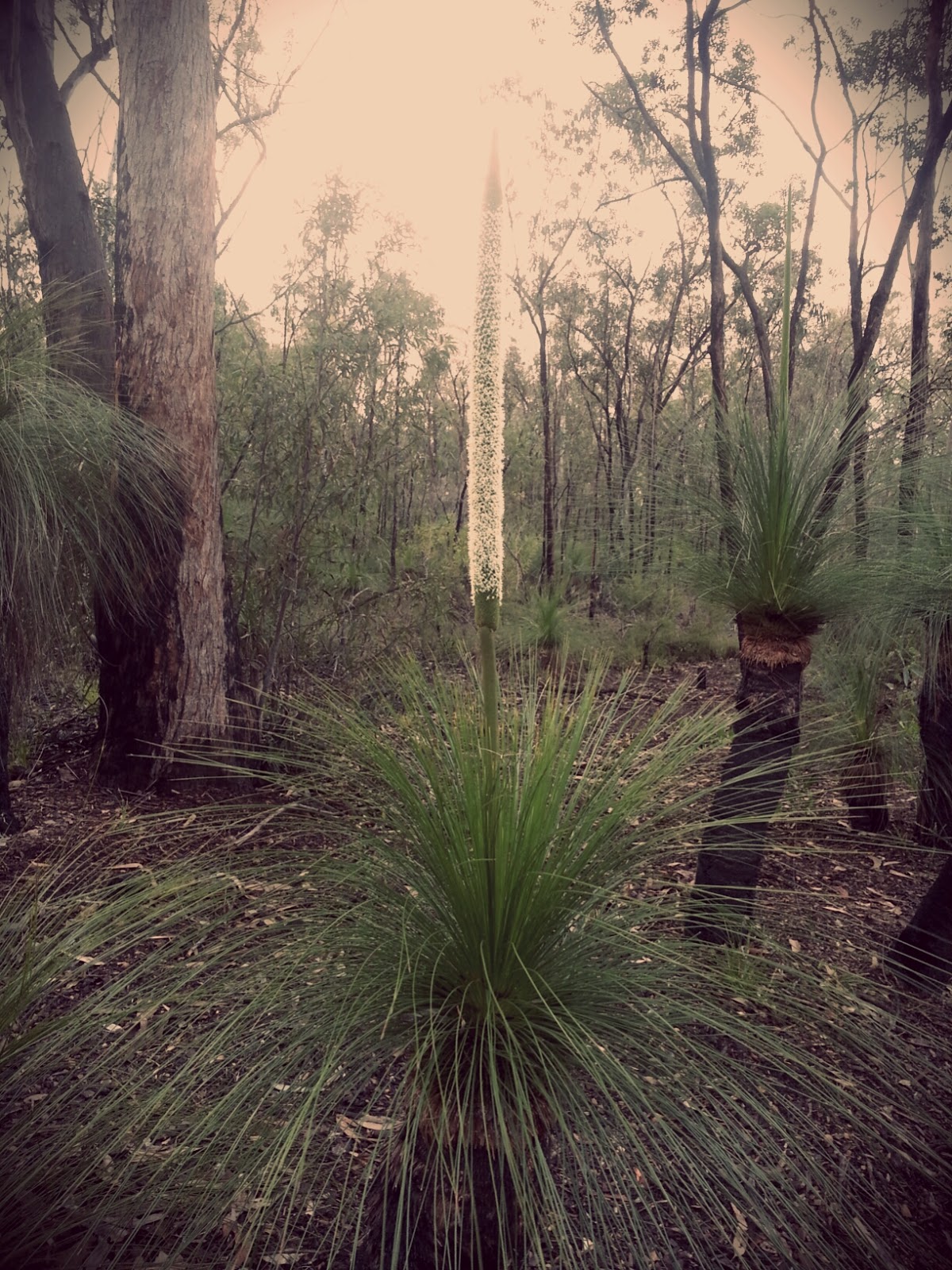 GLAM Blog Club #1: What I learned in 2016 - Sam Searle